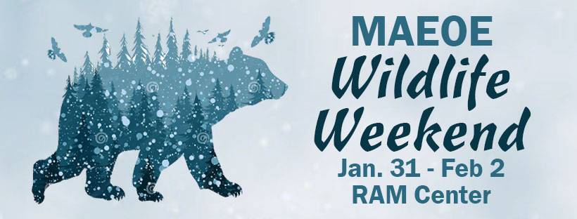 Wildlife Weekend: January 31 to February 2, 2020 - MiSTEM Network ...